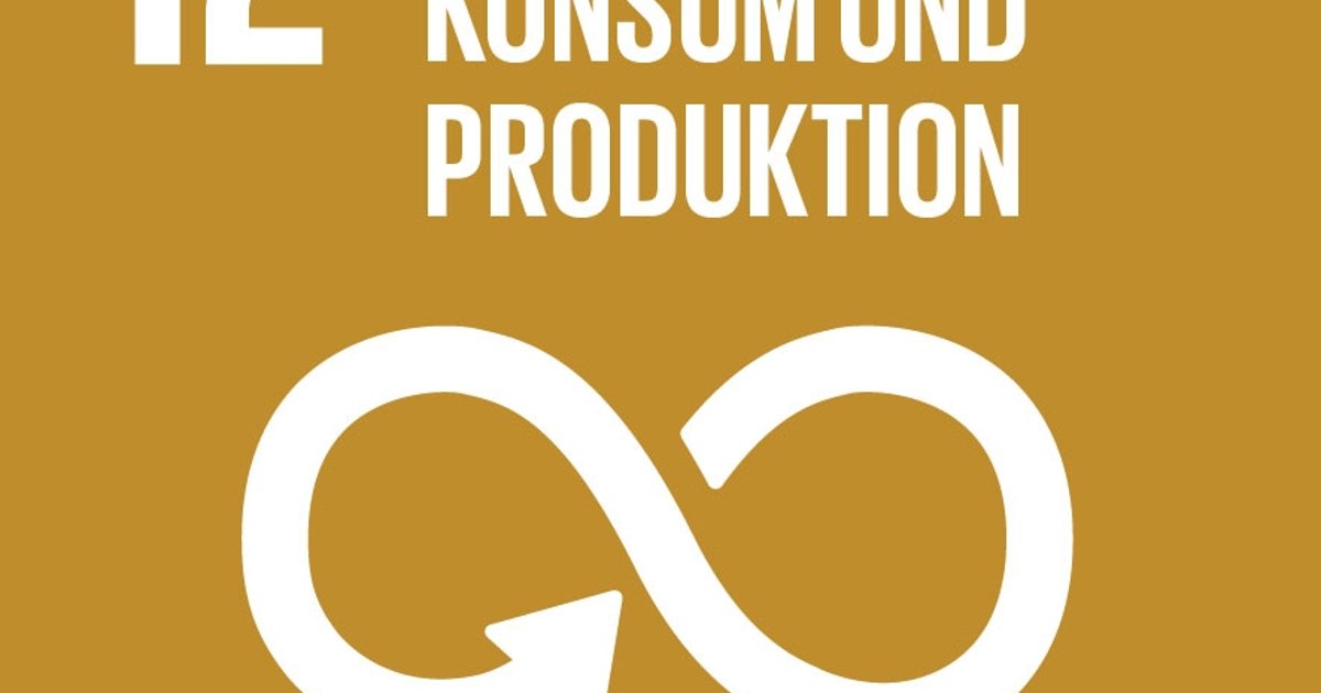 SDG 12 Nachhaltige/r Konsum und Produktion | Stadt Speyer